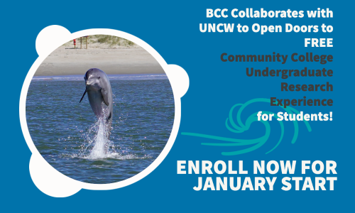 BCC Collaborates with UNCW to Offer Exciting Student Research ...